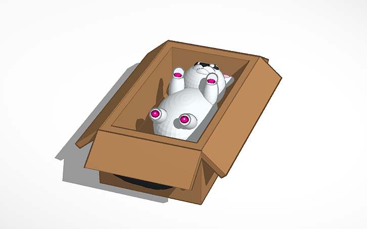 3D design Box. Cat Box. - Tinkercad