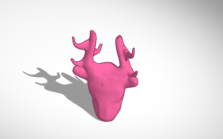 3D design Deer Head - Tinkercad