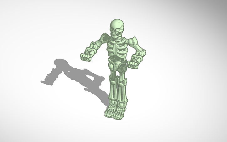 3D design Skeleton | Tinkercad
