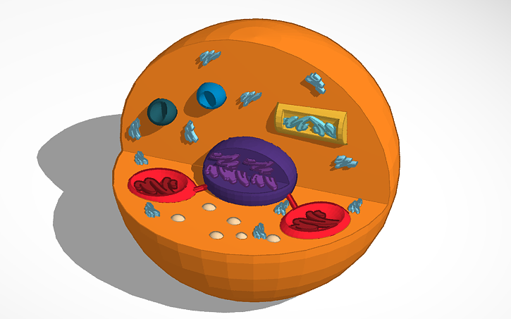 3d Design Cell Tinkercad