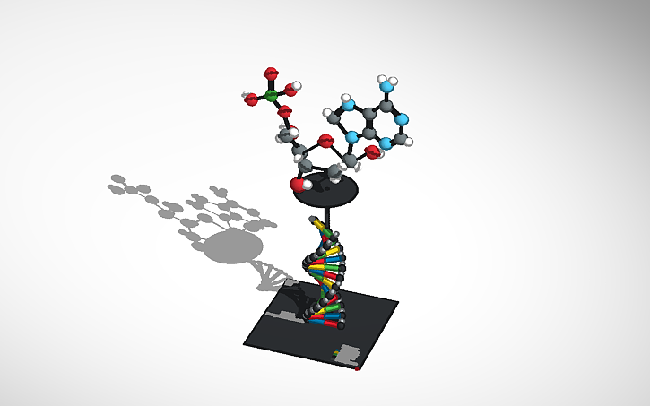 3D design nucleotide - Tinkercad