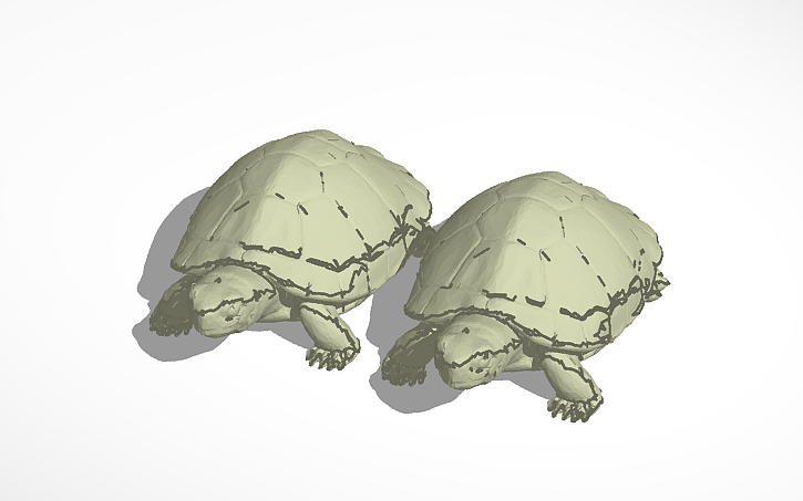 3D design schildpad deurknop | Tinkercad
