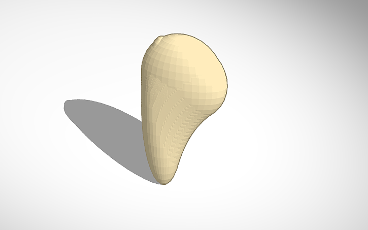 3D design Dino tooth - Tinkercad