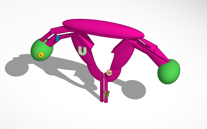 3D design Female reproductive System Model - Tinkercad