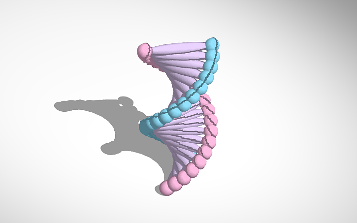 3D design DNA - Tinkercad