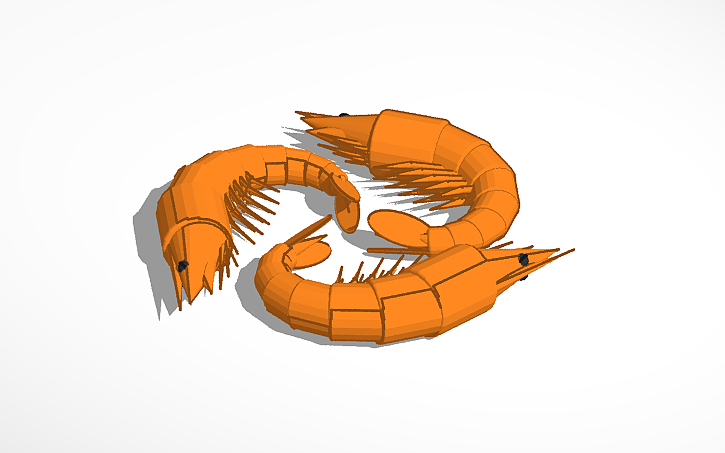 3D design SHRIMP - Tinkercad