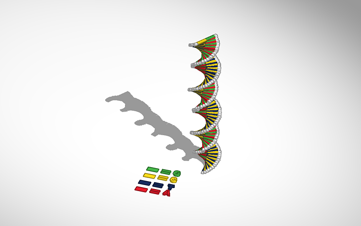 3D design Double Helix - Tinkercad