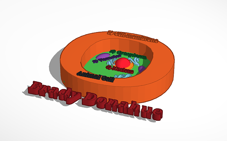 3d Design Cell Structure Tinkercad
