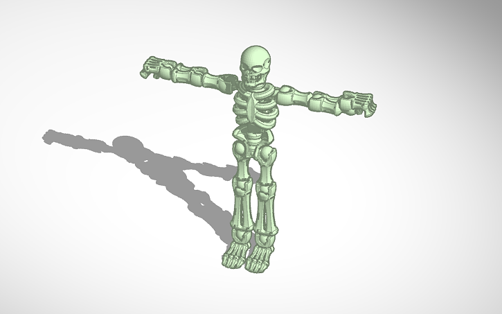 3D design Skeleton | Tinkercad