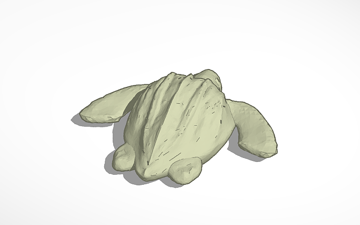 3D design Leather-Back Sea Turtle - Tinkercad