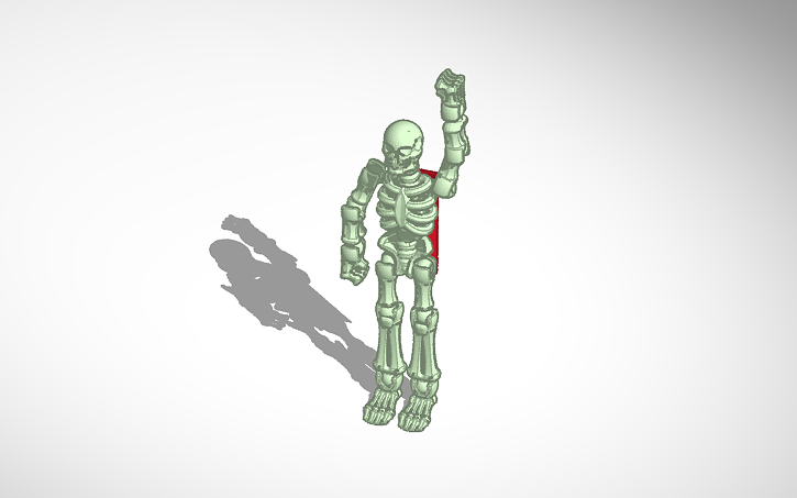 3d Design Bob Jr Tinkercad