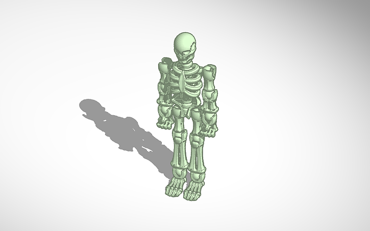3D design bone - Tinkercad