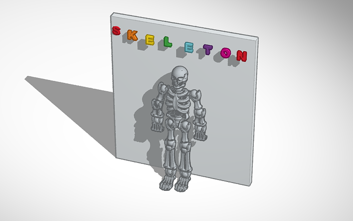3D design Skeleton | Tinkercad