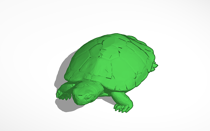3D design turtle - Tinkercad