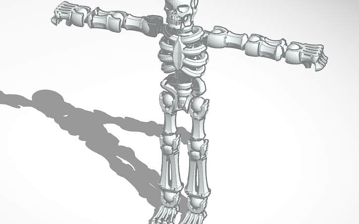 3D design Skeleton - Tinkercad