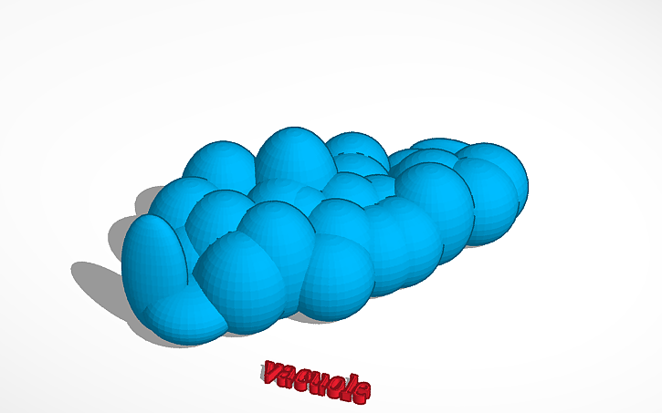 3D design Vacuole N+A project- Abigail and Nadia | Tinkercad