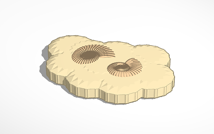 3D design FOSSIL - Tinkercad