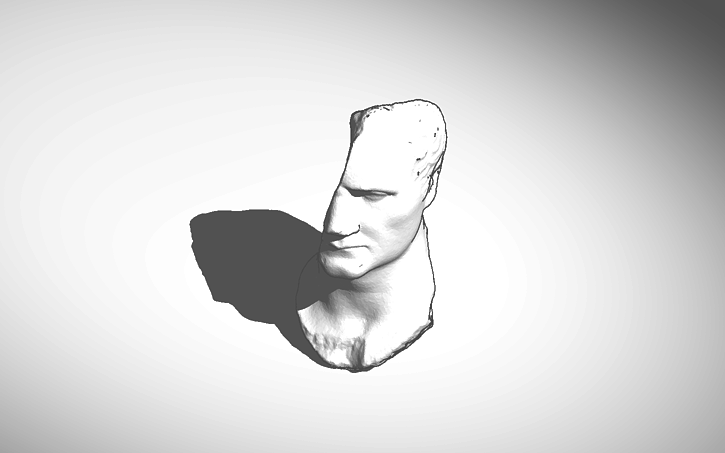3D design Julius Caesar's Portrait | DesignerDojo Museum Project | by ...