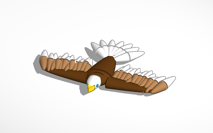 3D design eagle - Tinkercad