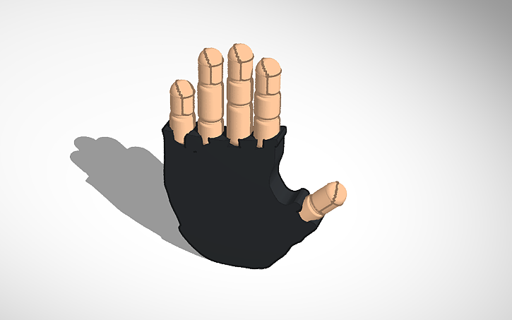 3D design Hand 2 | Tinkercad
