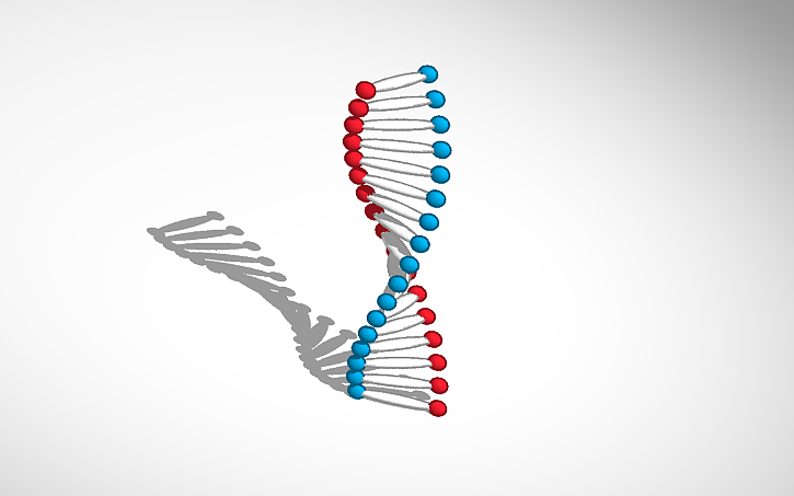 3D design DNA 10. | Tinkercad