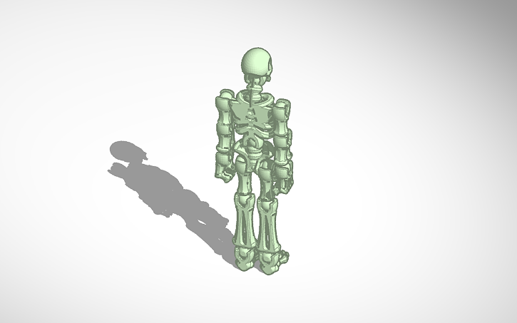 3D design skeleton | Tinkercad