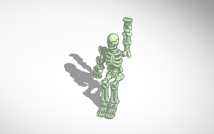 3D design skeleton - Tinkercad