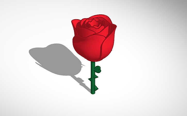3D design Rose - Tinkercad