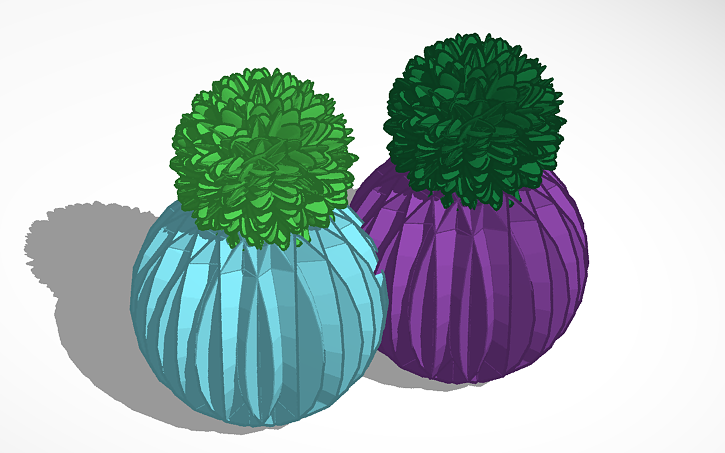3D design plants - Tinkercad