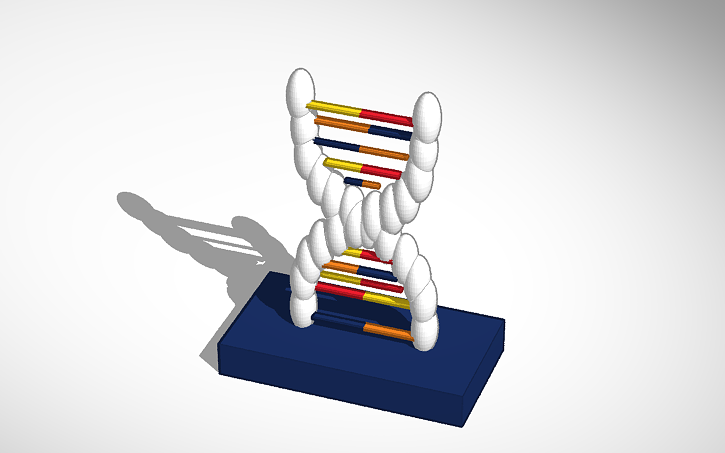 3D design Adn - Tinkercad