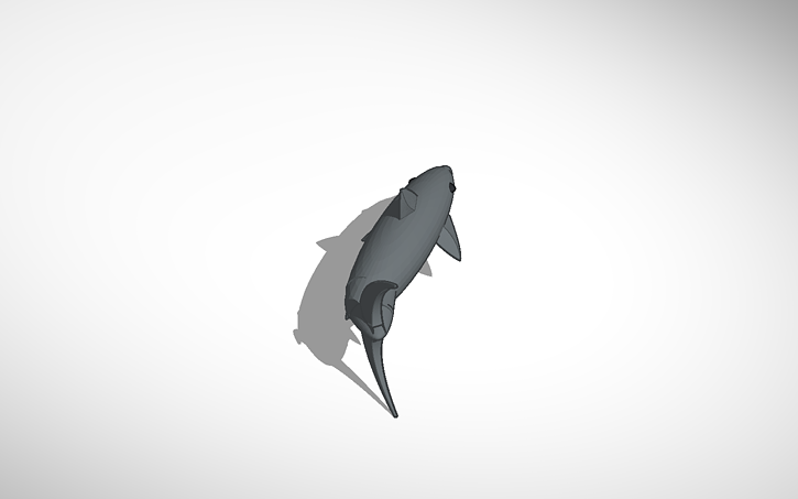 3D design shark - Tinkercad