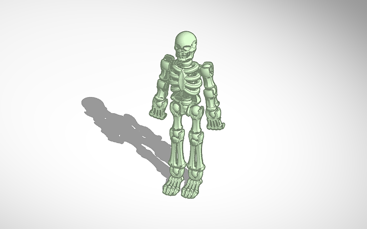 3D design Skelly | Tinkercad