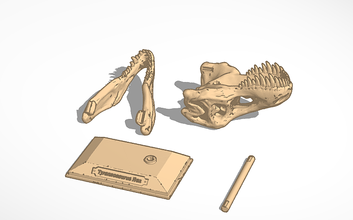 3D design t-rex - Tinkercad