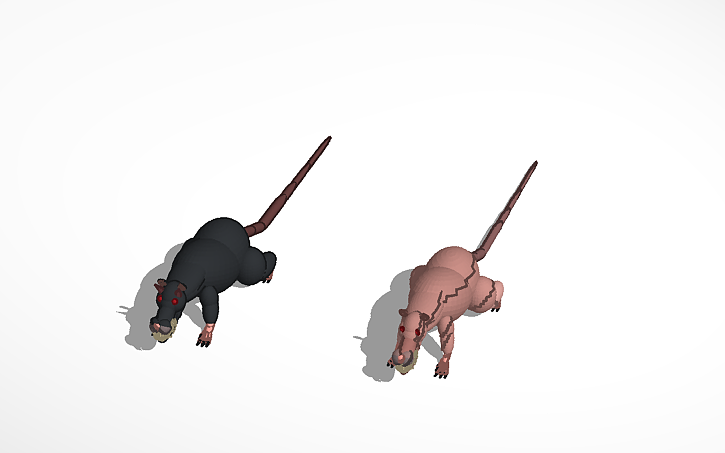 3D design Backrooms Entity 24: death rats (Wikidot) - Tinkercad