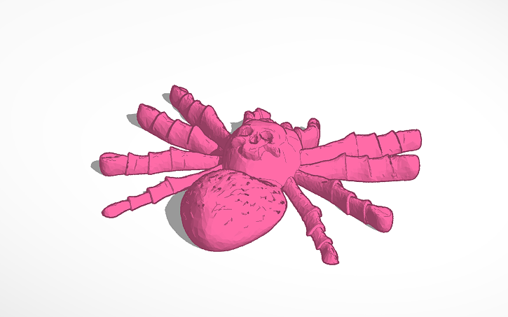 3D design Spider | Tinkercad