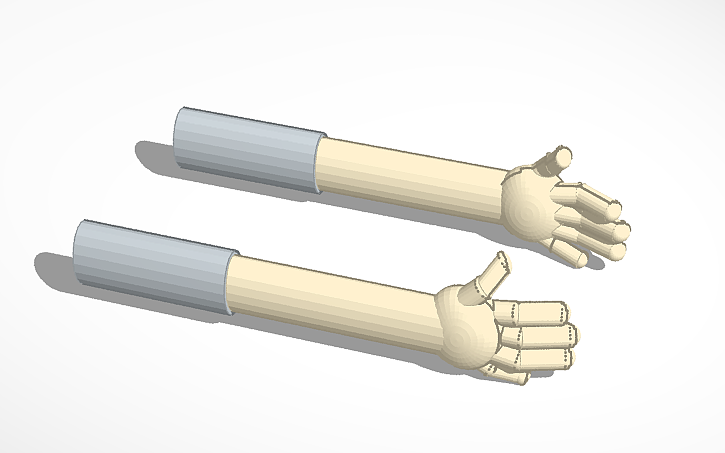 3D design Hands - Tinkercad
