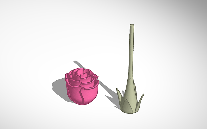 3D design Rose - Tinkercad