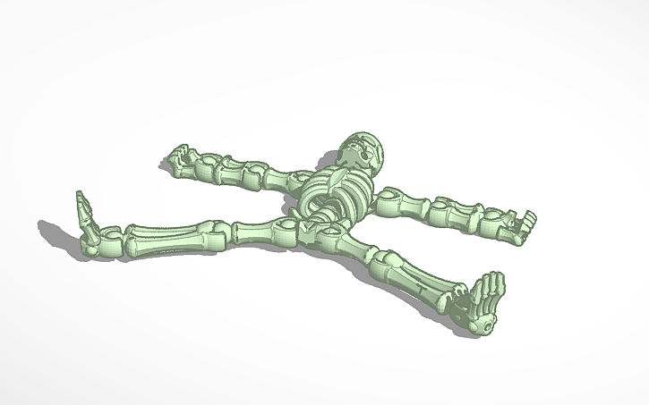 3D design human bones - Tinkercad