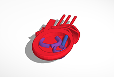 3D design Model of Human Heart | Tinkercad