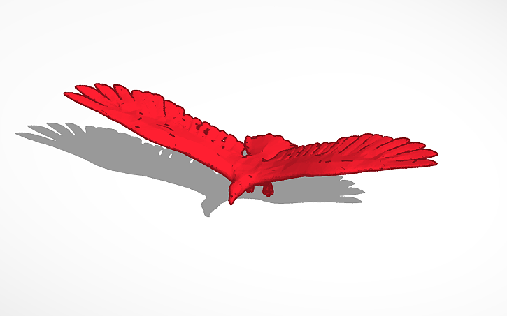 3D design vliegende arend - Tinkercad