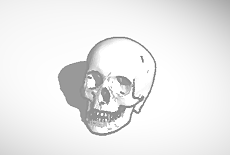 3D design Skull | Tinkercad