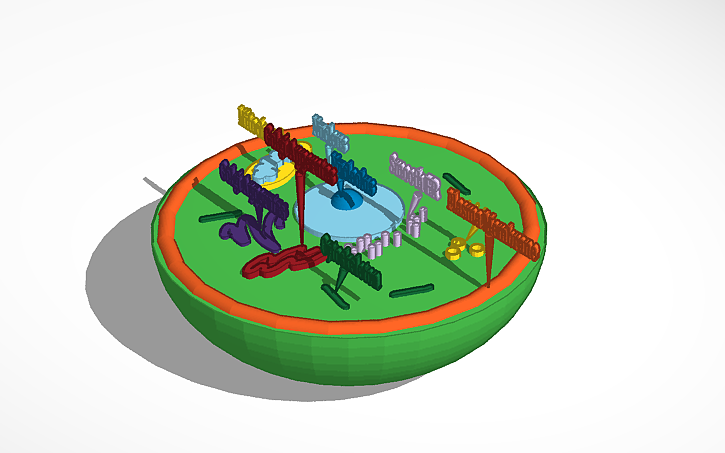 3D design Cell diagram - Tinkercad