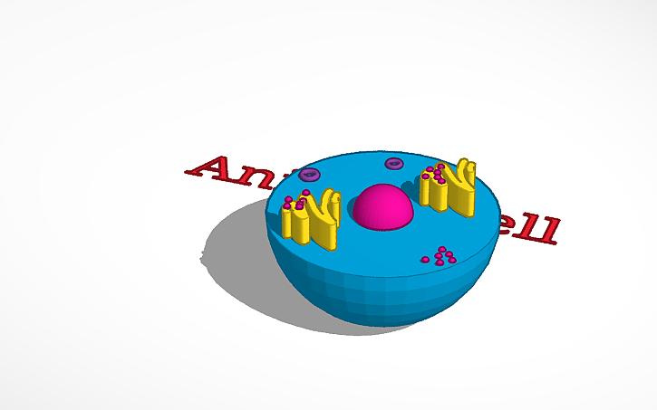 3D design Animal cell-Ryland Barrett. - Tinkercad