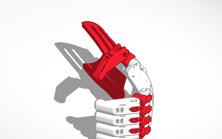 3D design raptor hand e-nable - Tinkercad