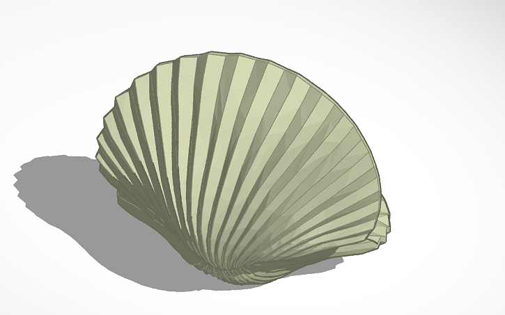 3D design pearl in oyster - Tinkercad