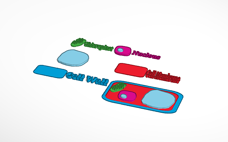 3D design Science Cell project | Tinkercad