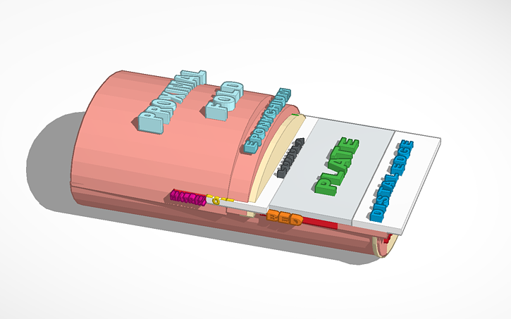 3D design Fingernail anatomy - Tinkercad