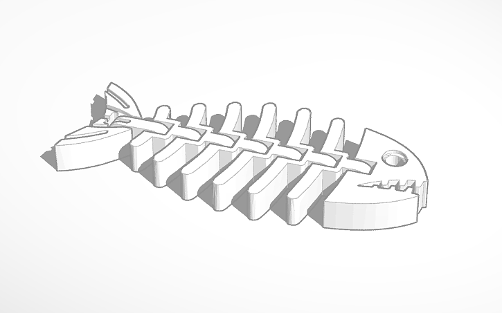 3D design Flexible Fish Fossils - Tinkercad