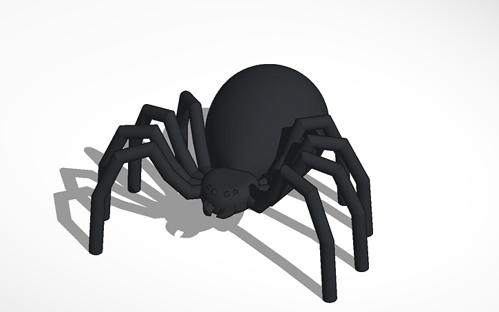 3D design Real Spider - Tinkercad