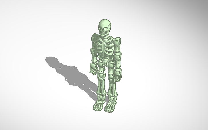 3D design Skilet - Tinkercad